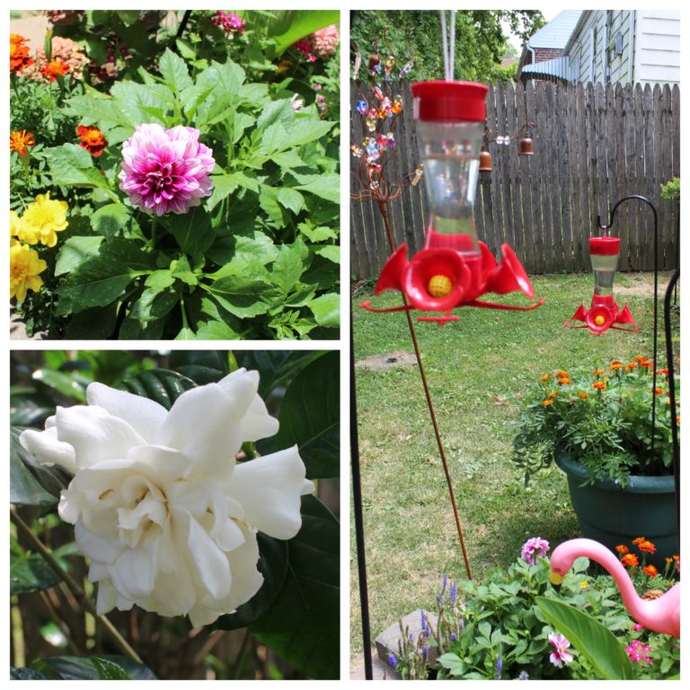 Life Lessons From The Garden: Find What Brings You Joy - Bubbling with ...