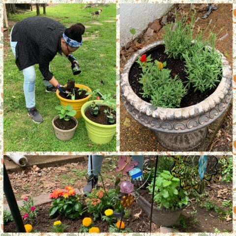 Gardening - Bubbling with Elegance and Grace